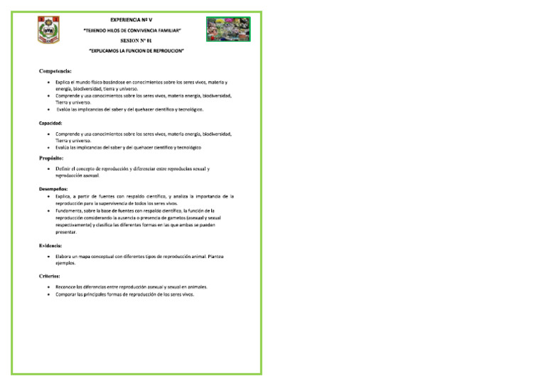 COMPETENCIA ACTIV. N° 01 EDA V mp (1) | PDF