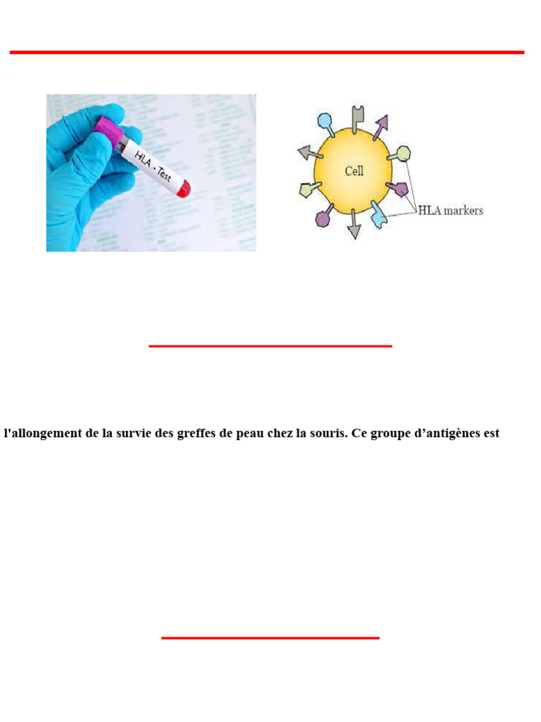 Définition du système HLA et ses rôles | PDF | HLA (antigène ...