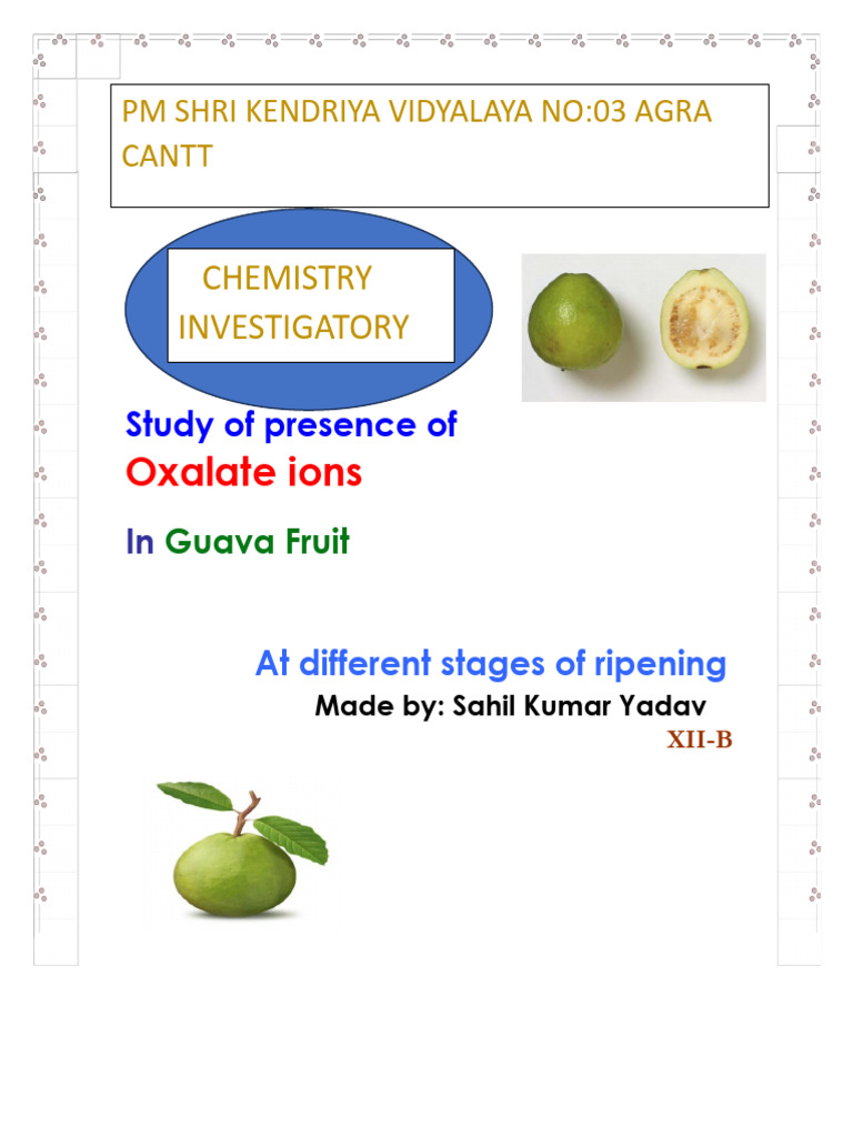 Oxalate Ion Levels in Ripening Guava | PDF | Flavonoid | Vitamin C