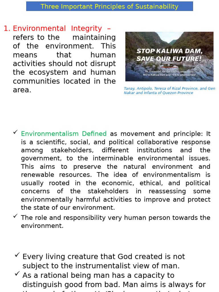 Principles of Sustainability Explained | PDF | Sustainability | Ecology