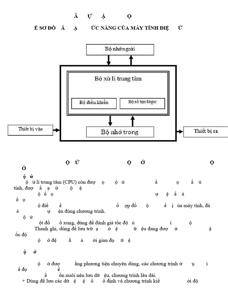Đáp Án CK1 Tin Học | PDF