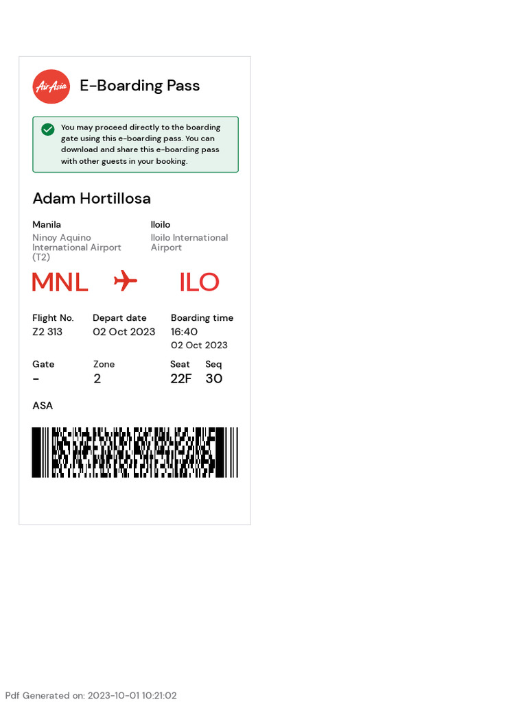 E-Boarding Pass for Flight Z2 313 | PDF