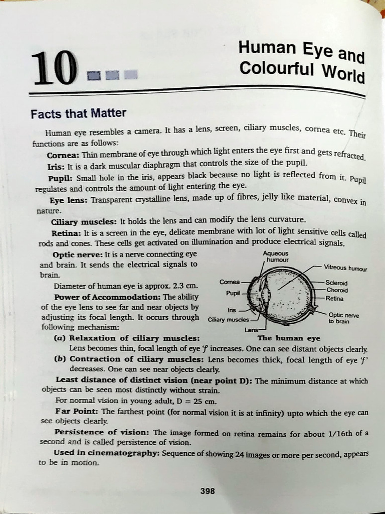 Human Eye | PDF