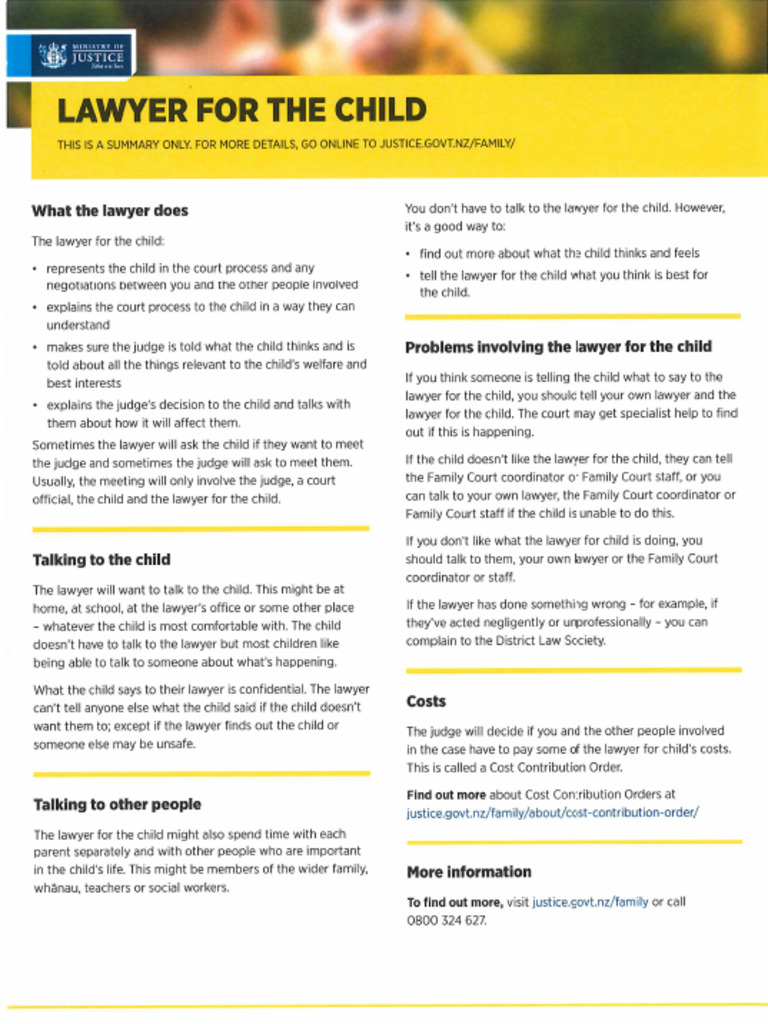 Lawyer For The Child Pamphlet | PDF