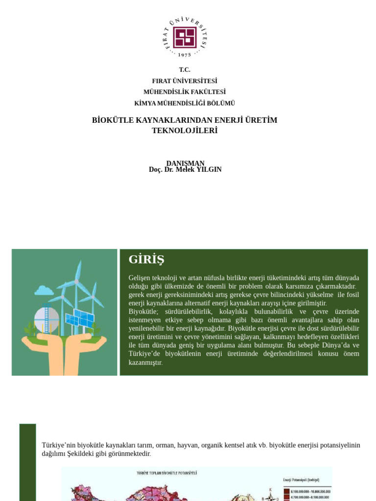 BİOKÜTLE Sunu (4) | PDF