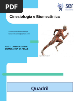 Músculo Piriforme Origem, Inserção, Inervação e Função Kenhub | PDF ...
