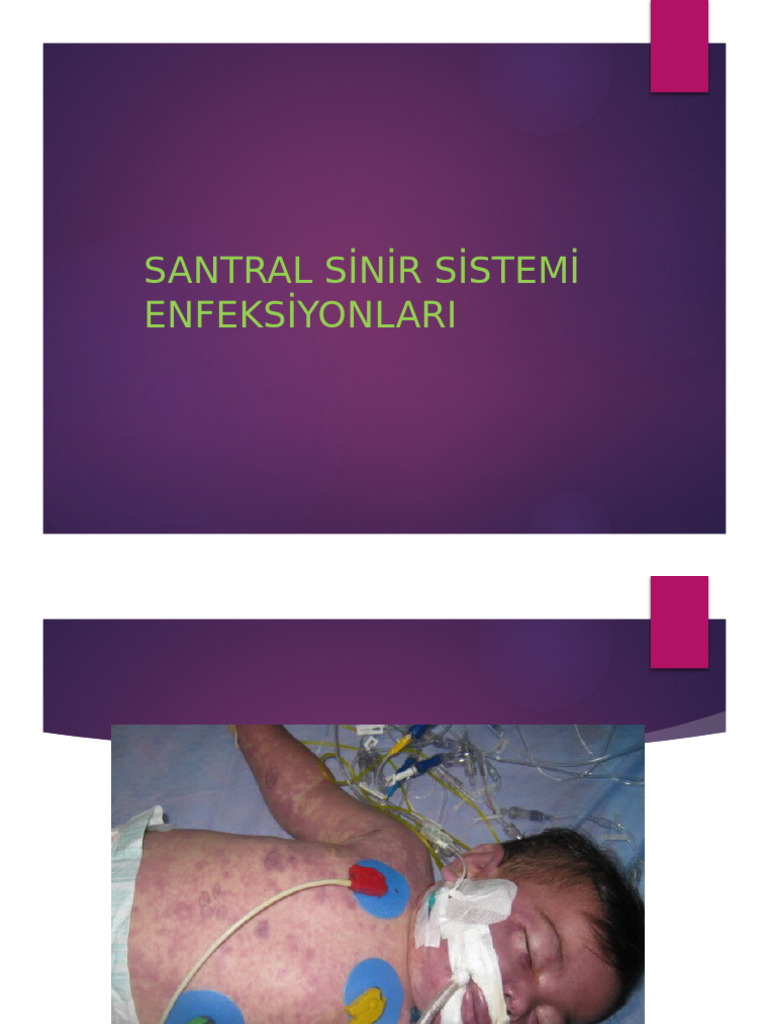 Sss Enf | PDF