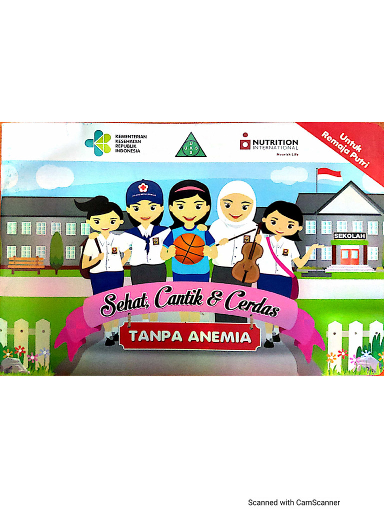 Panduan Pemberian Tablet Tambah Darah (TTD) Remaja Puteri | PDF