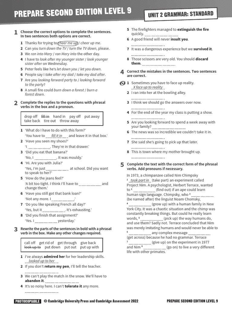 Unit 2 Grammar | PDF | Cognitive Science | Linguistics