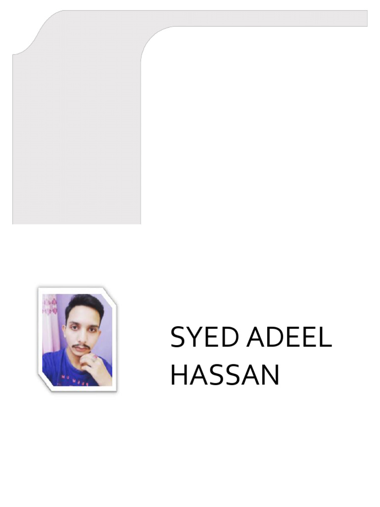 Syed Adeel Hassan | PDF