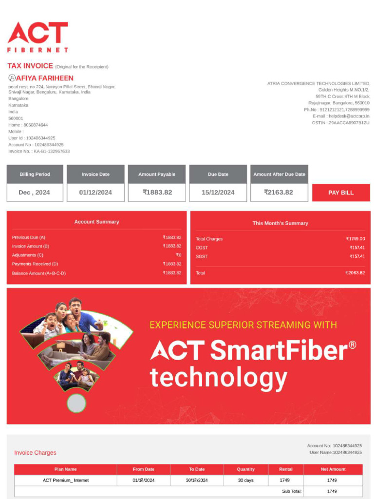 Decemeber 2024 Phone Bill PDF
