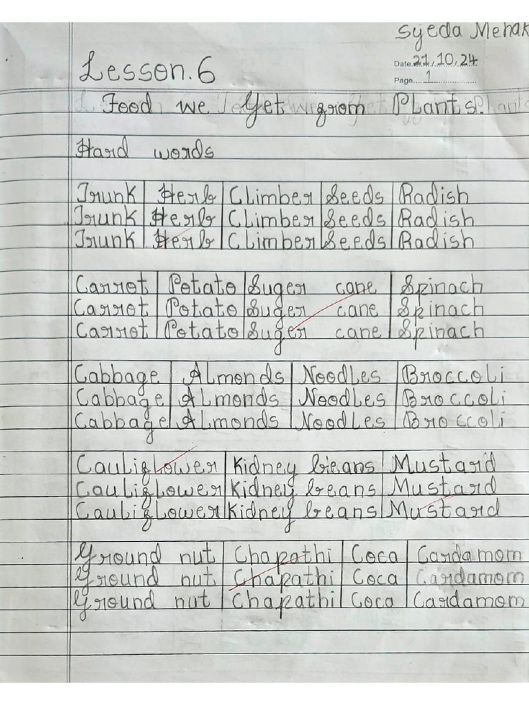 G. Science L No 6. Food We Get From Plants | PDF