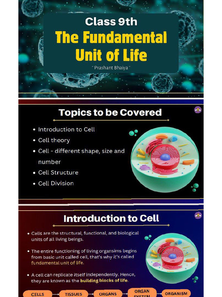 PDFReader 20241224 1724 | PDF