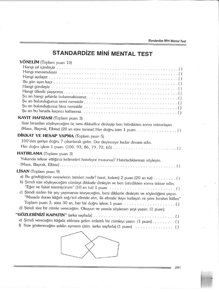 Standardize Mini Mental Testi | PDF