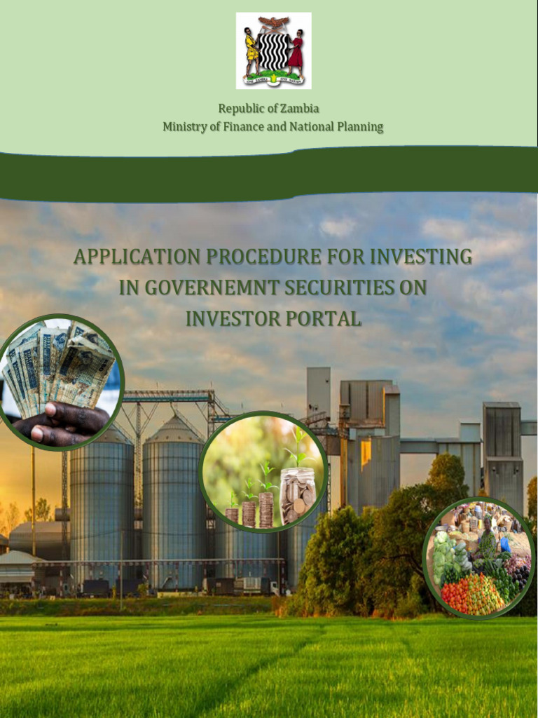 Application Procedure For Investing in Government Securities | PDF ...