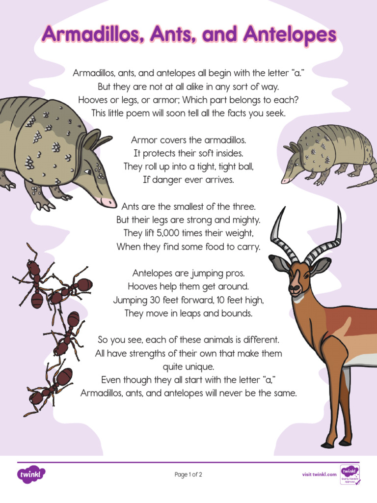 Color Second Grade Poetry Analysis Activity - Armadillos, Ants, and Antelopes | PDF