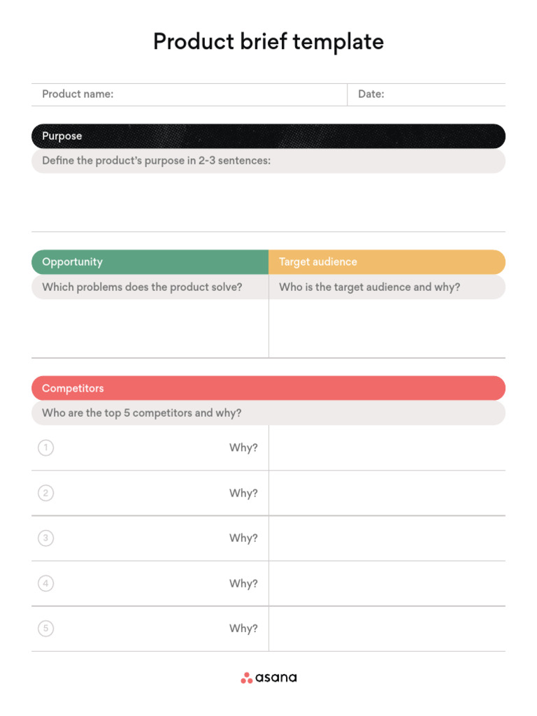 Product-Brief-Template 240120 202200 | PDF