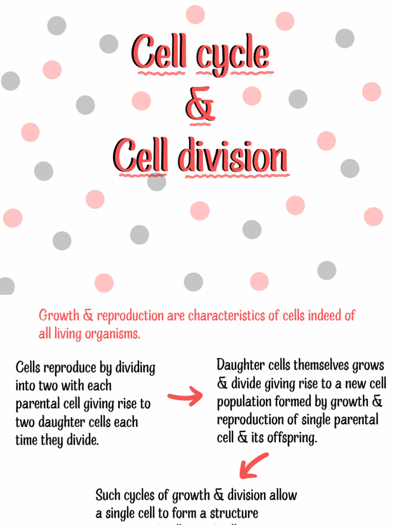 Cell Cycle & Cell Division Comp. Notes | PDF | Meiosis | Mitosis