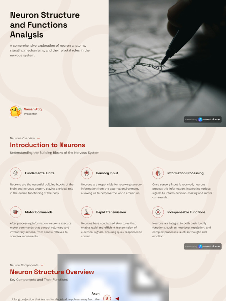 Neuron Structure and Functions Analysis | PDF