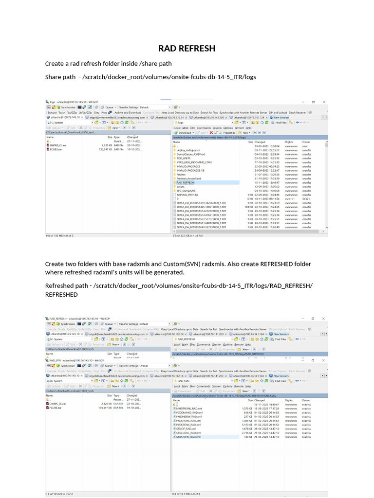 Developer's RAD Refresh Guide | PDF