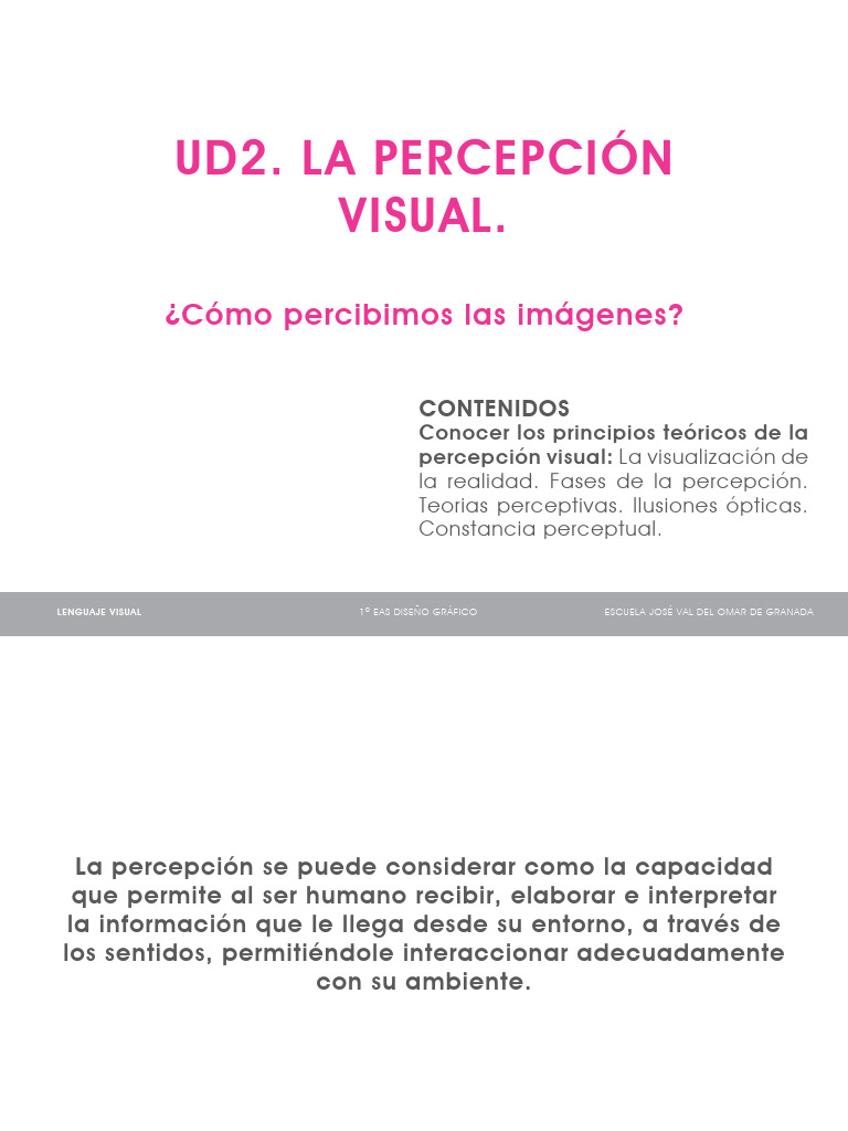 Ud2 La Percepción Visual | PDF | Percepción visual | Percepción