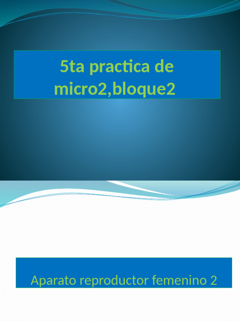 5ta Practica de Micro2,Bloque2 | PDF