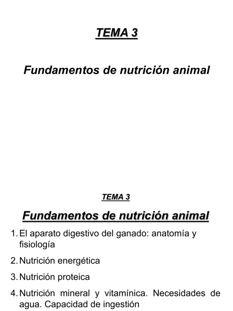 Presentación Tema 3 | PDF | Sistema digestivo humano | Nutrición