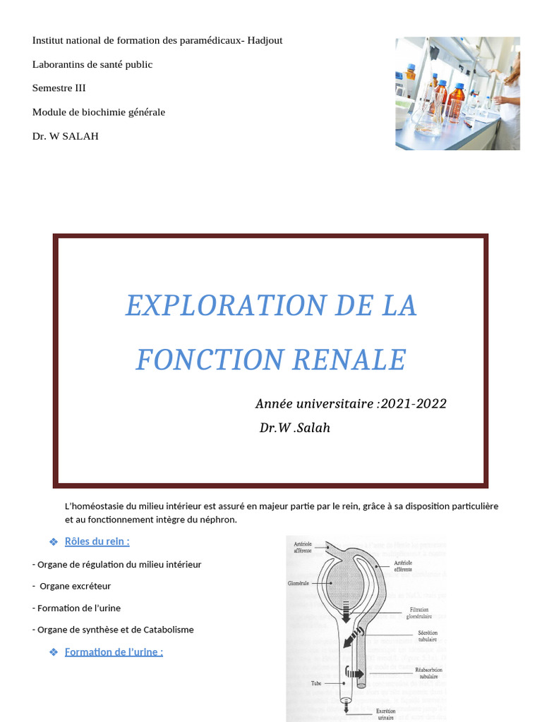 Exploration de la fonction rénale | PDF | Créatinine | Urine