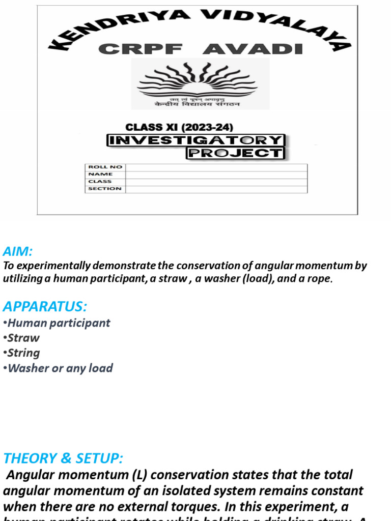 Sushant Project | PDF