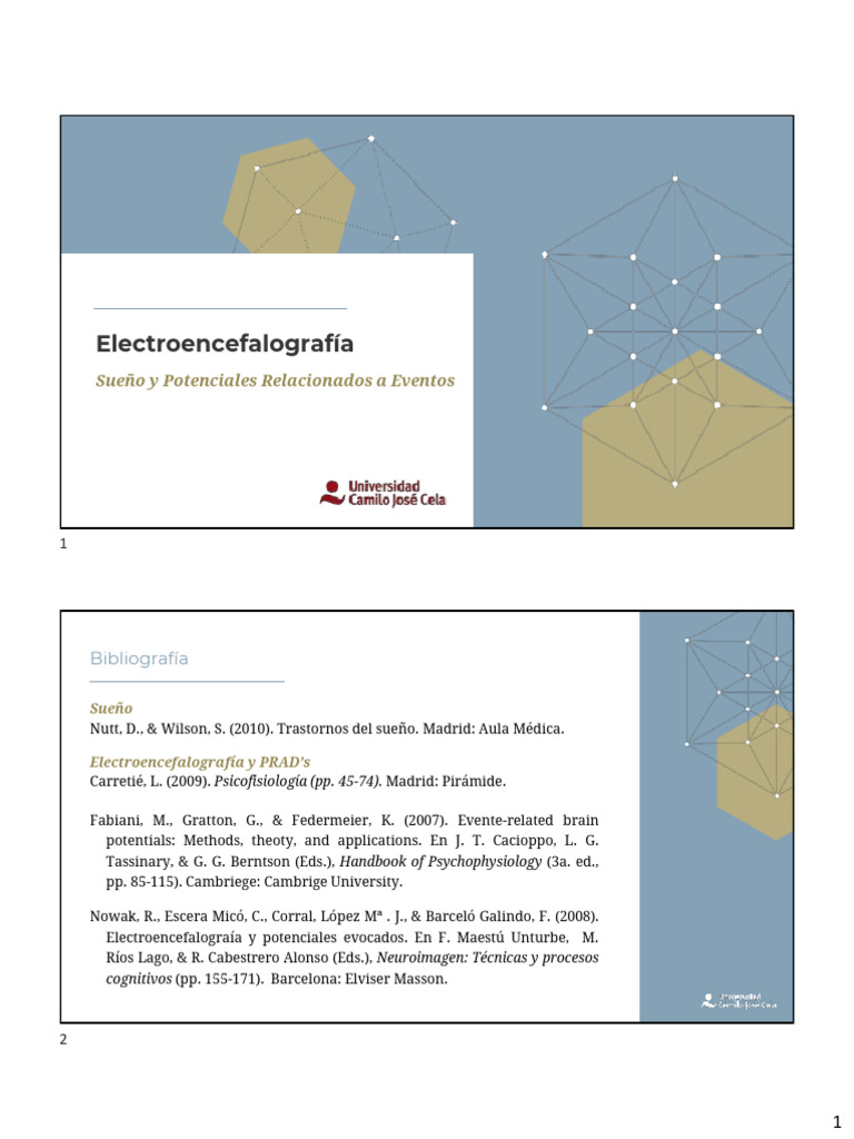 Tema 2 y 3. EEE y MEG | PDF | Movimiento rápido del ojo Sueño | Dormir