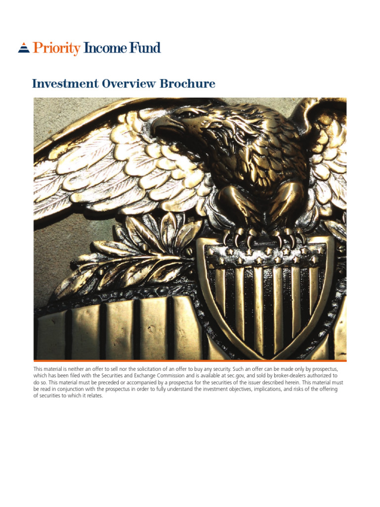 Fund Overview Brochure | PDF | Investment Fund | Financial Risk