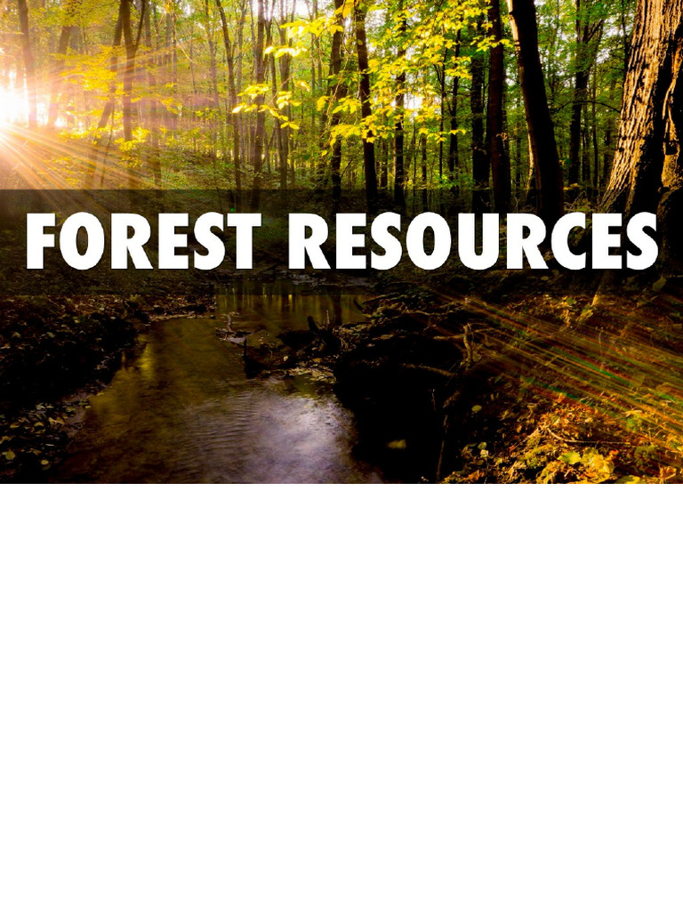 Forest | PDF