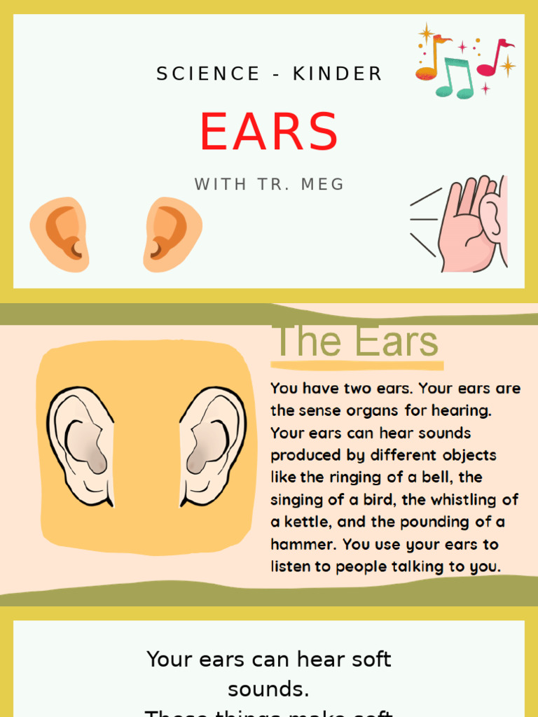 Understanding Sound and Ear Care | PDF