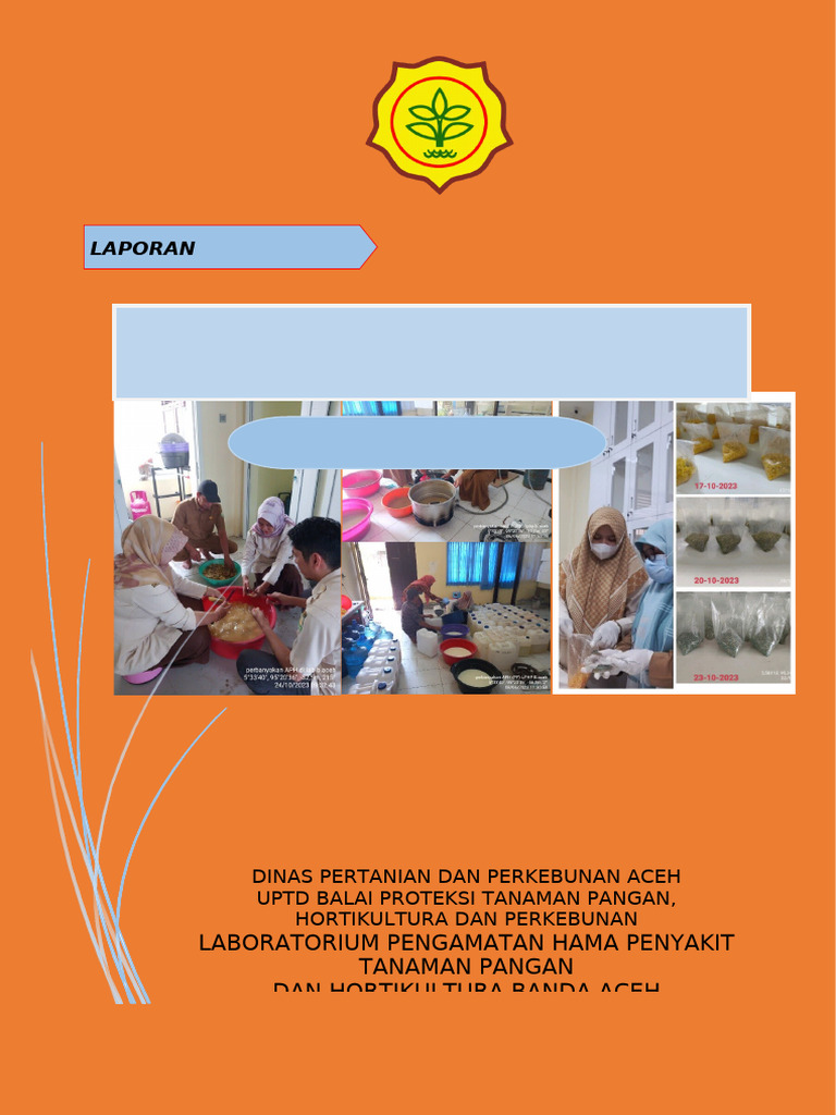 Cover Aph 2023 | PDF