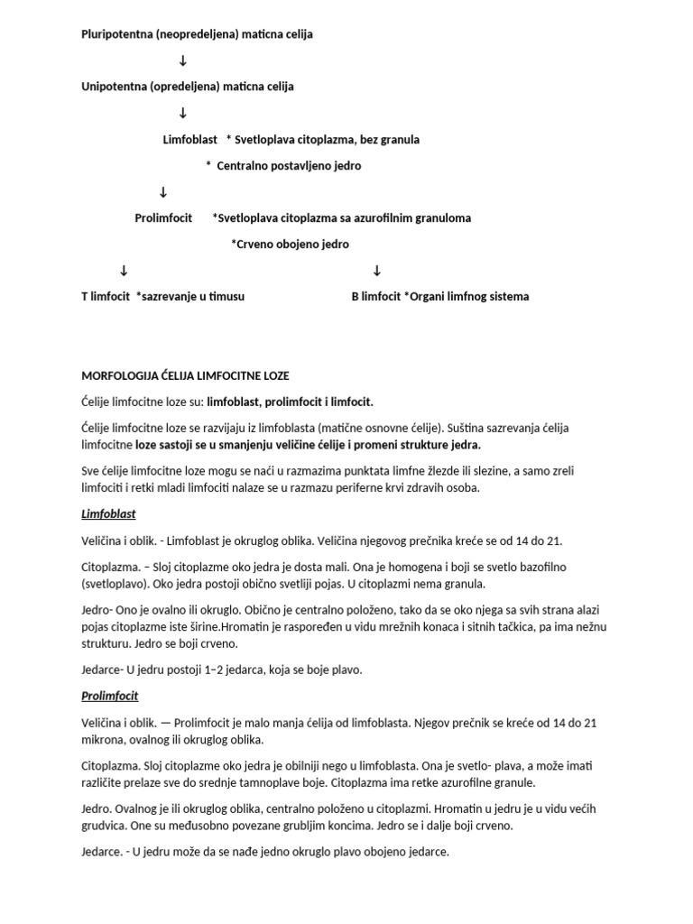 MORFOLOGIJA ĆELIJA LIMFOCITNE LOZE | PDF