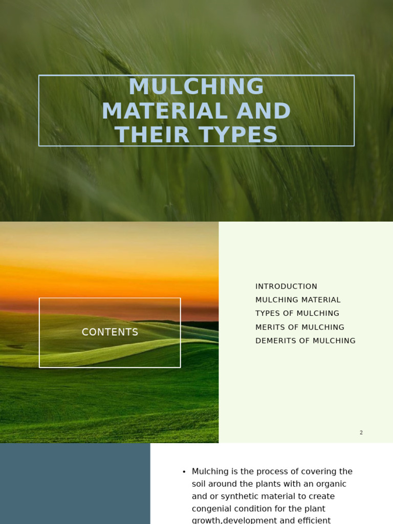 Types and Benefits of Mulching | PDF | Mulch | Organic Farming