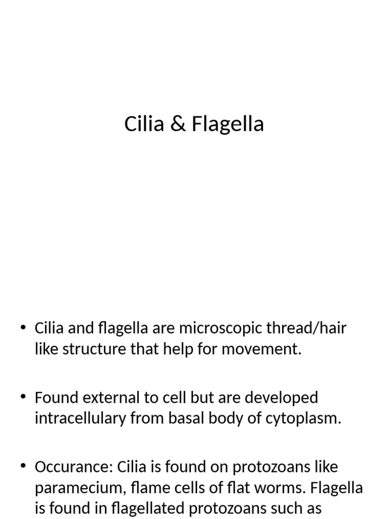 Cilia and Flagella | PDF