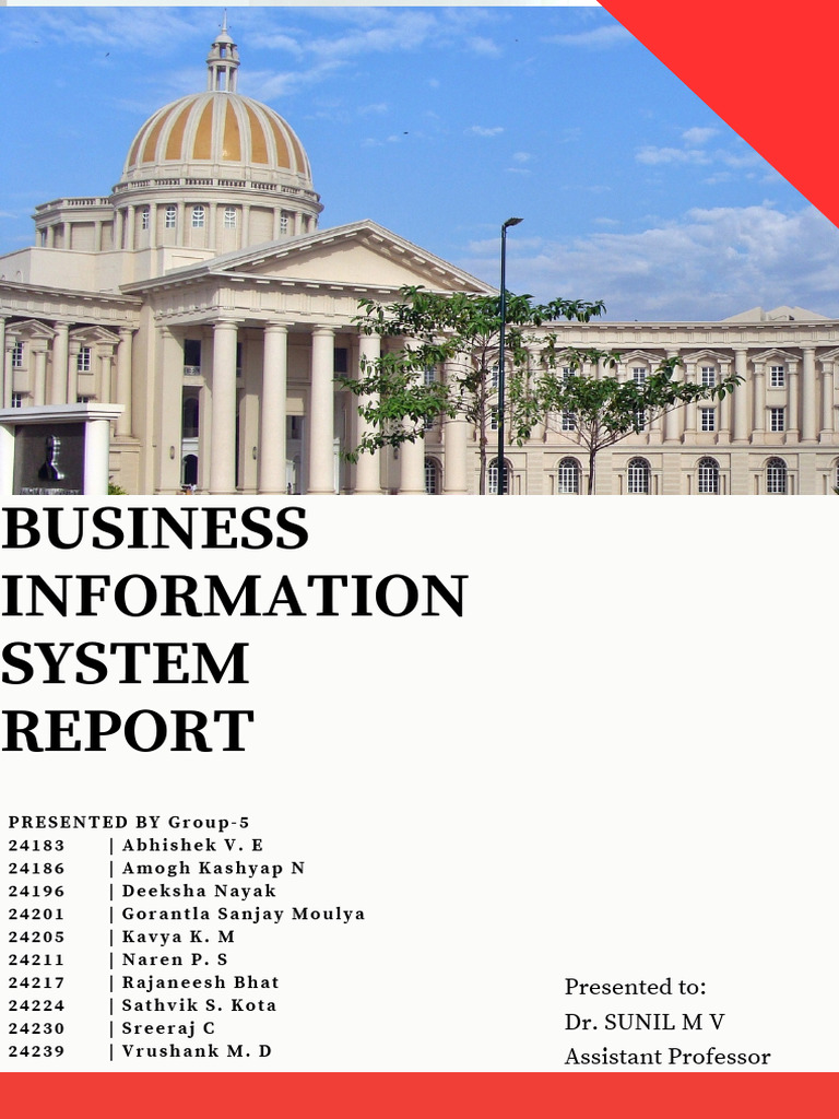 BIS report group-5 | PDF | Private Sector | Business