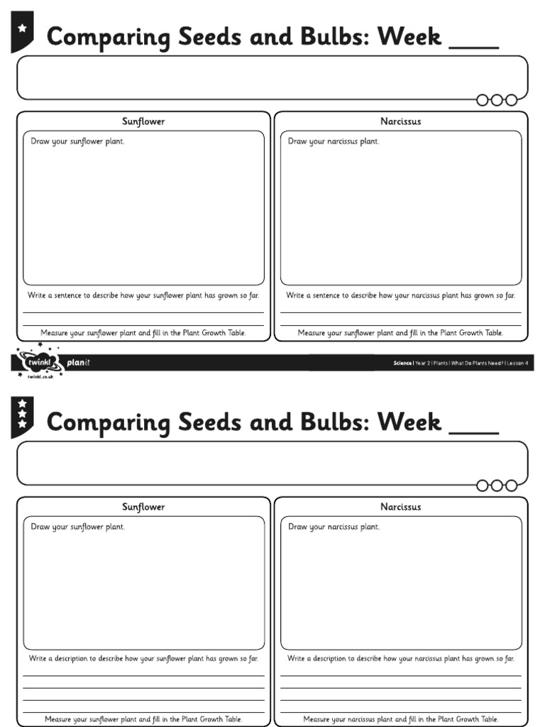 Activity Sheet Comparing Seeds and Bulbs | PDF