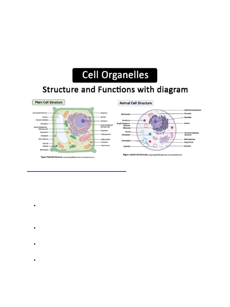 Cell organelles are specialized entities present inside a particular ...