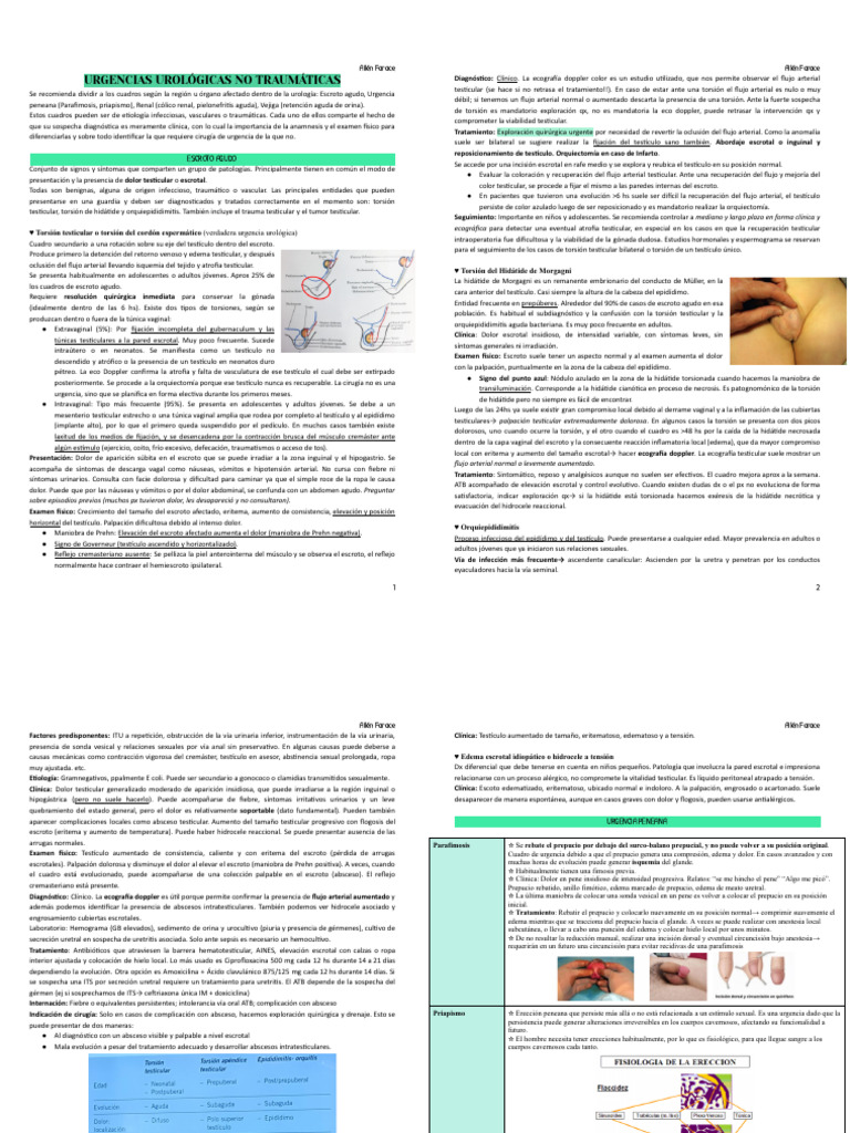 Módulo Uro | PDF | Medicina | Urología