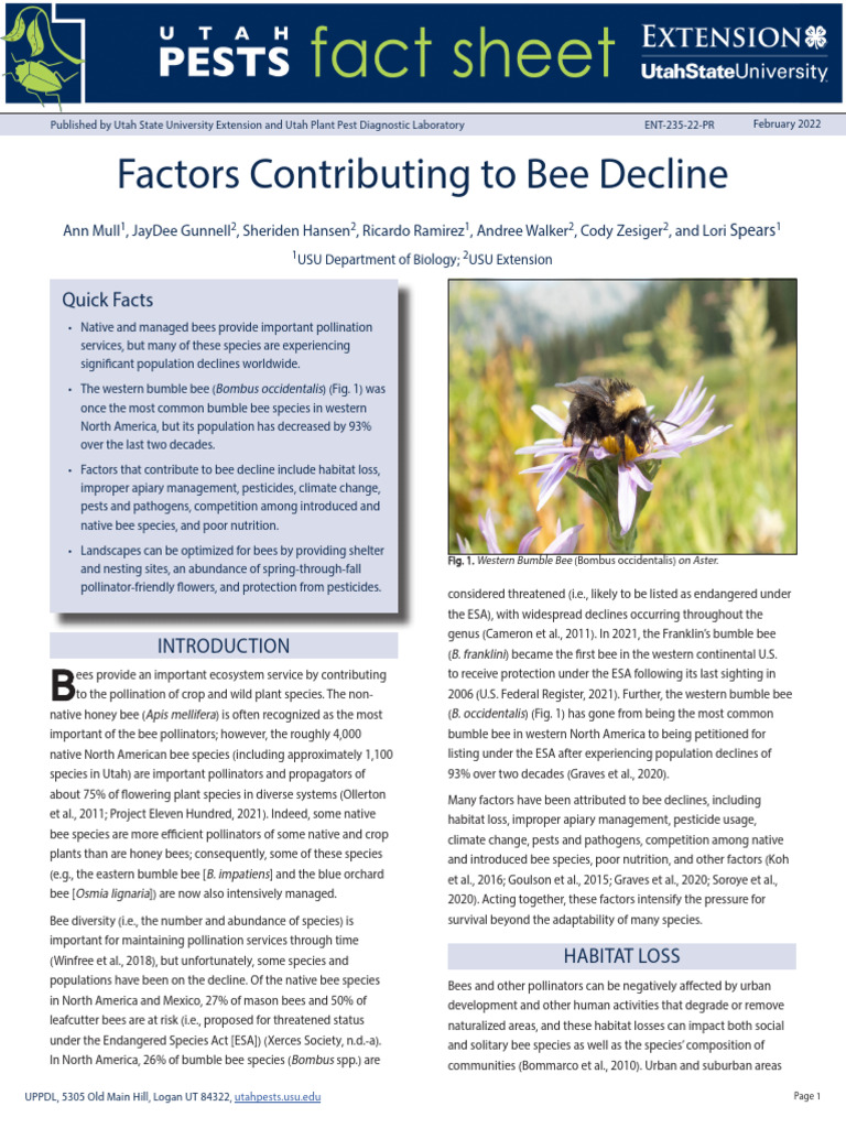 Factors Behind Native Bee Declines | PDF | Bees | Honey Bee