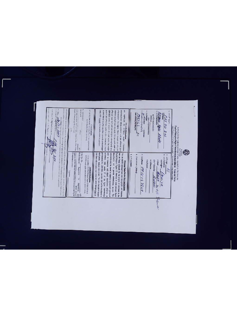 Document One | PDF