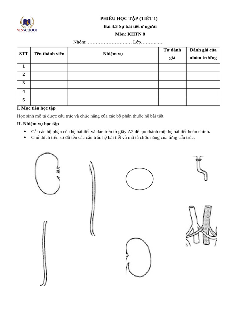 PHT - KHTN 8 - Bai 4.3 Su Bai Tiet o Nguoi | PDF