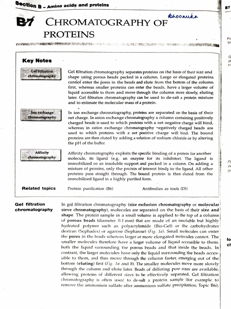 chromatography | PDF | Gel Electrophoresis | Polyacrylamide Gel ...