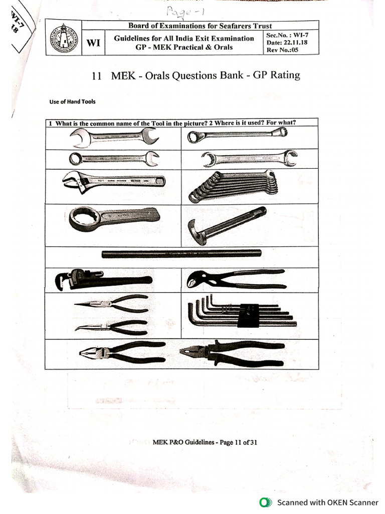 Mek Oral Sets | PDF
