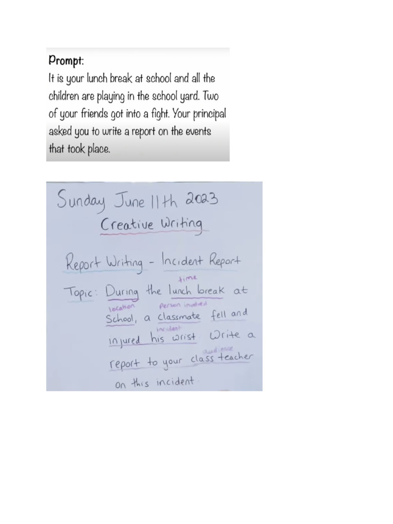 Report Prompts | PDF