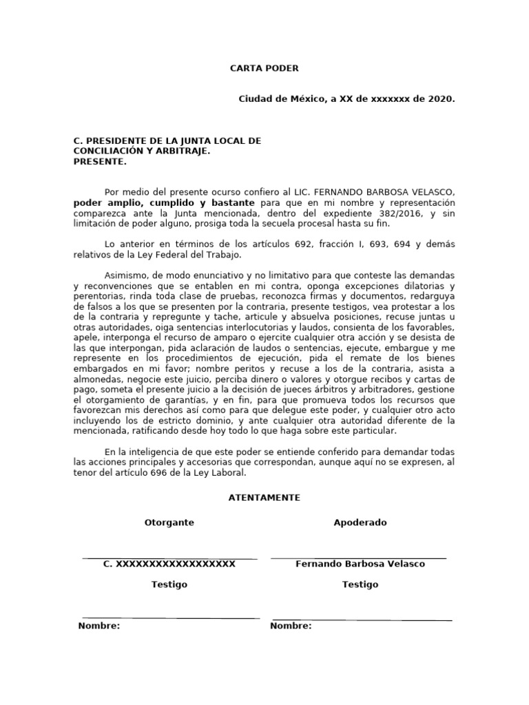 Carta Poder Formato | PDF | Ley Pública | Judicaturas