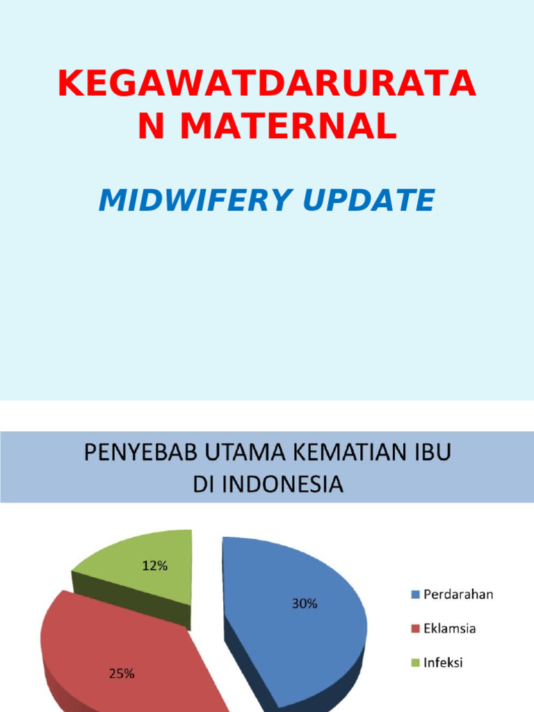 Gadar Maternal | PDF