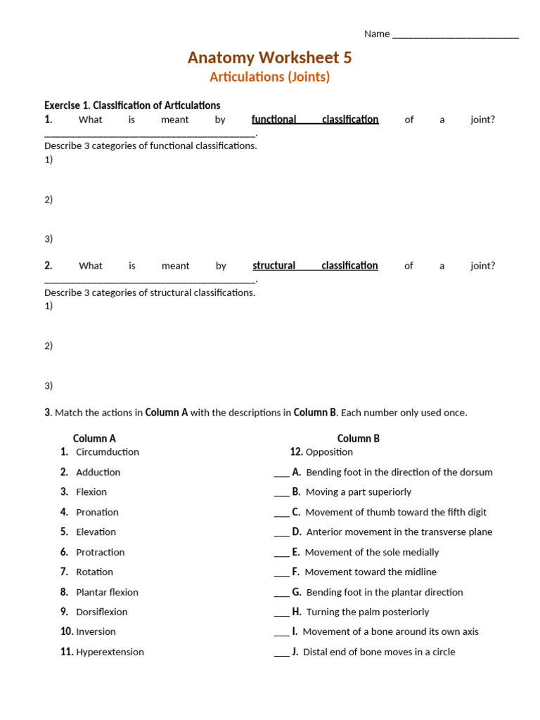 Anat WKST 5 Articulations | PDF | Anatomical Terms Of Motion | Knee